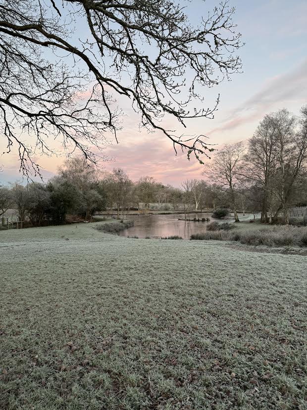 Birchden Vineyards | Luxury Vineyard in East Sussex