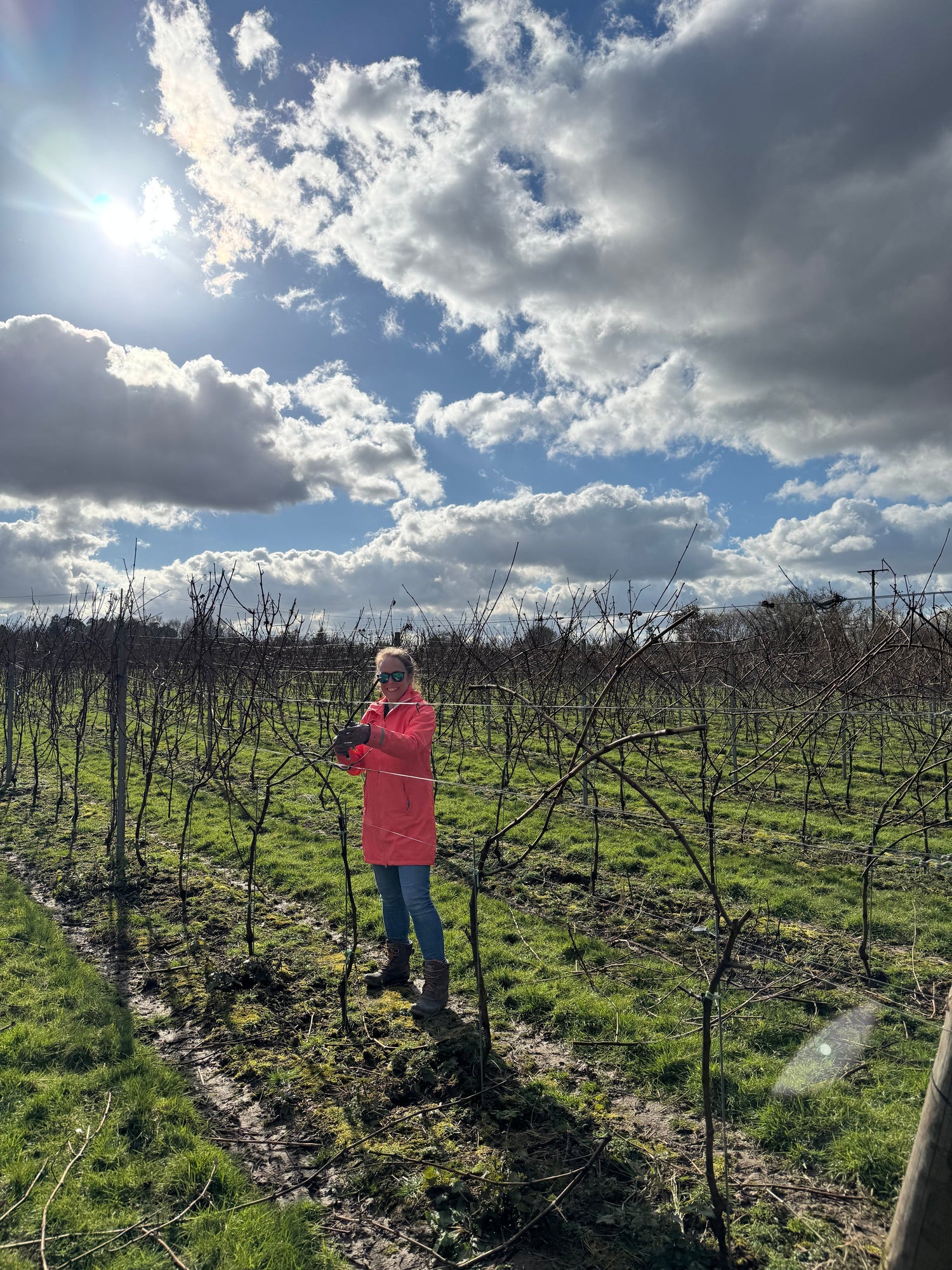 Birchden Vineyards | Luxury Vineyard in East Sussex