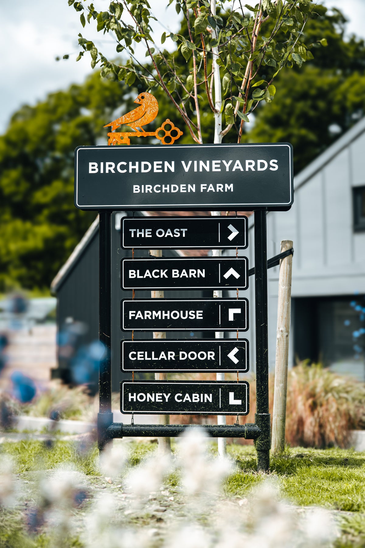 Birchden Vineyards | Luxury Vineyard in East Sussex